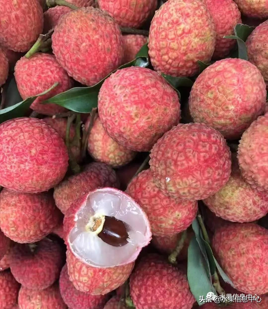 Comparison and evaluation of 10 types of lychees: Guiwei, Nuomi Cong ...