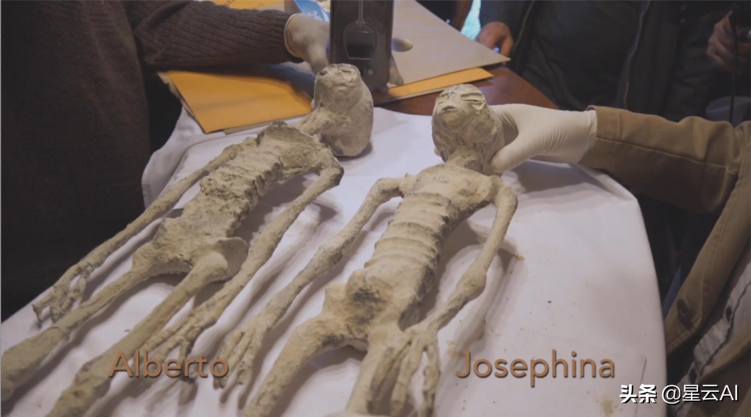 Nazca alien mummy, an amphibian with three fingers and toes - iMedia