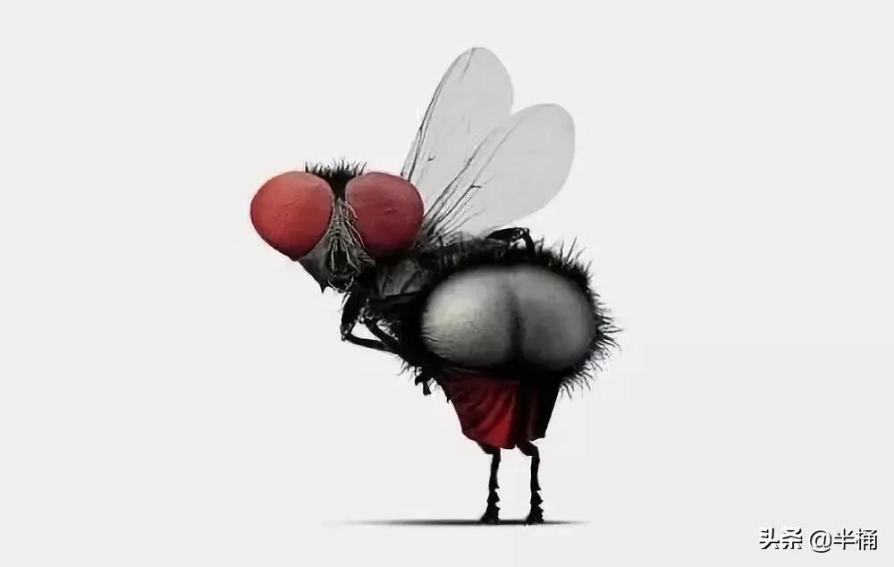 Why would a fly twist its head off to play?How long can headless flies ...