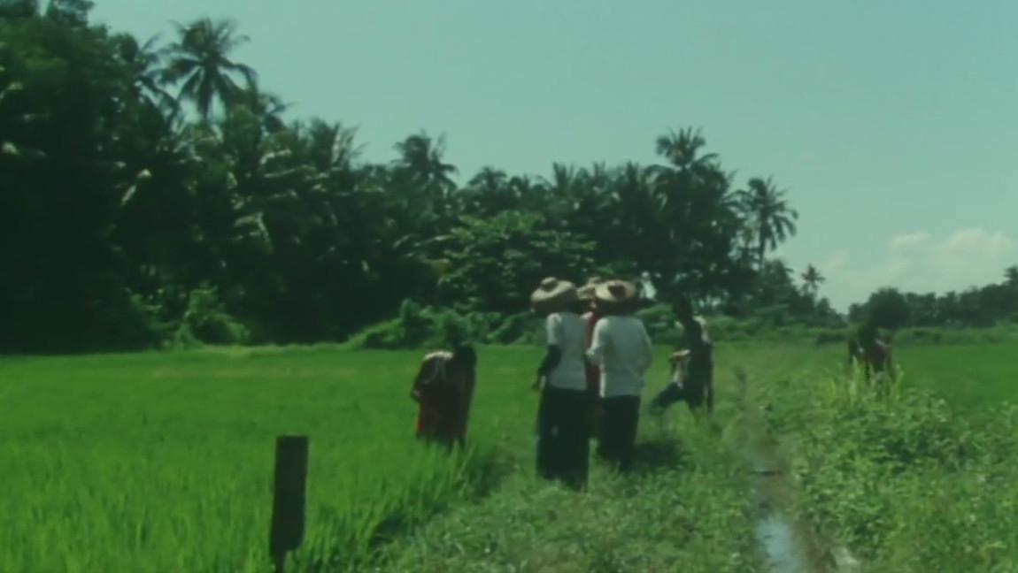 The movie "Yuan Longping" hit a record high in ratings and became a ...