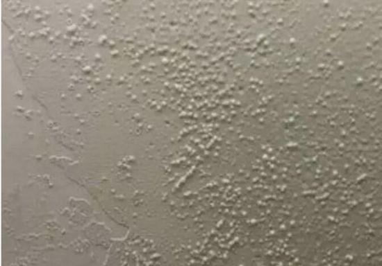 What should I do about delamination, bubbles, and blisters in interior ...