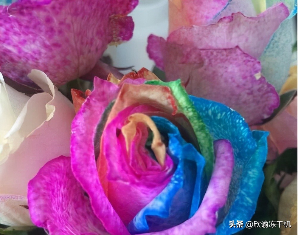 Take everyone to understand the production process of colorful eternal ...