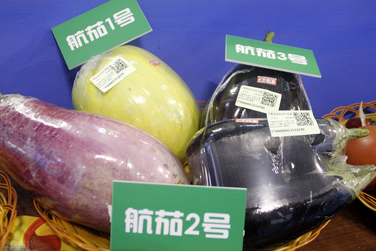 What kind of magical breeding technique is space breeding? - iNEWS