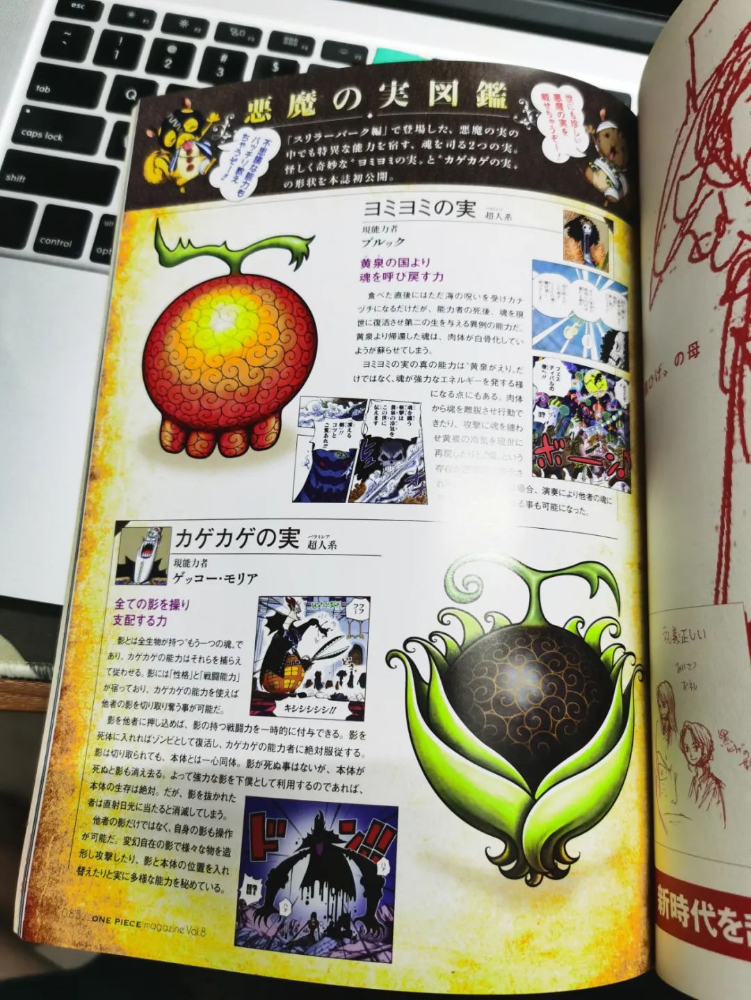 The Devil Fruit Illustrated Book is here!12 unseen "devil fruit shapes ...