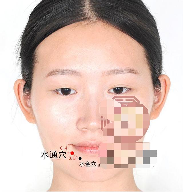 Shuitong acupoints on the human head for health preservation in ...