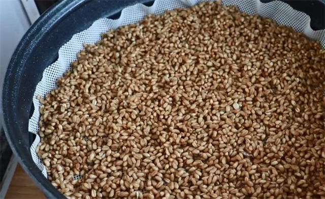 Pure handmade maltose, teach you to make it at home, sweet and ...