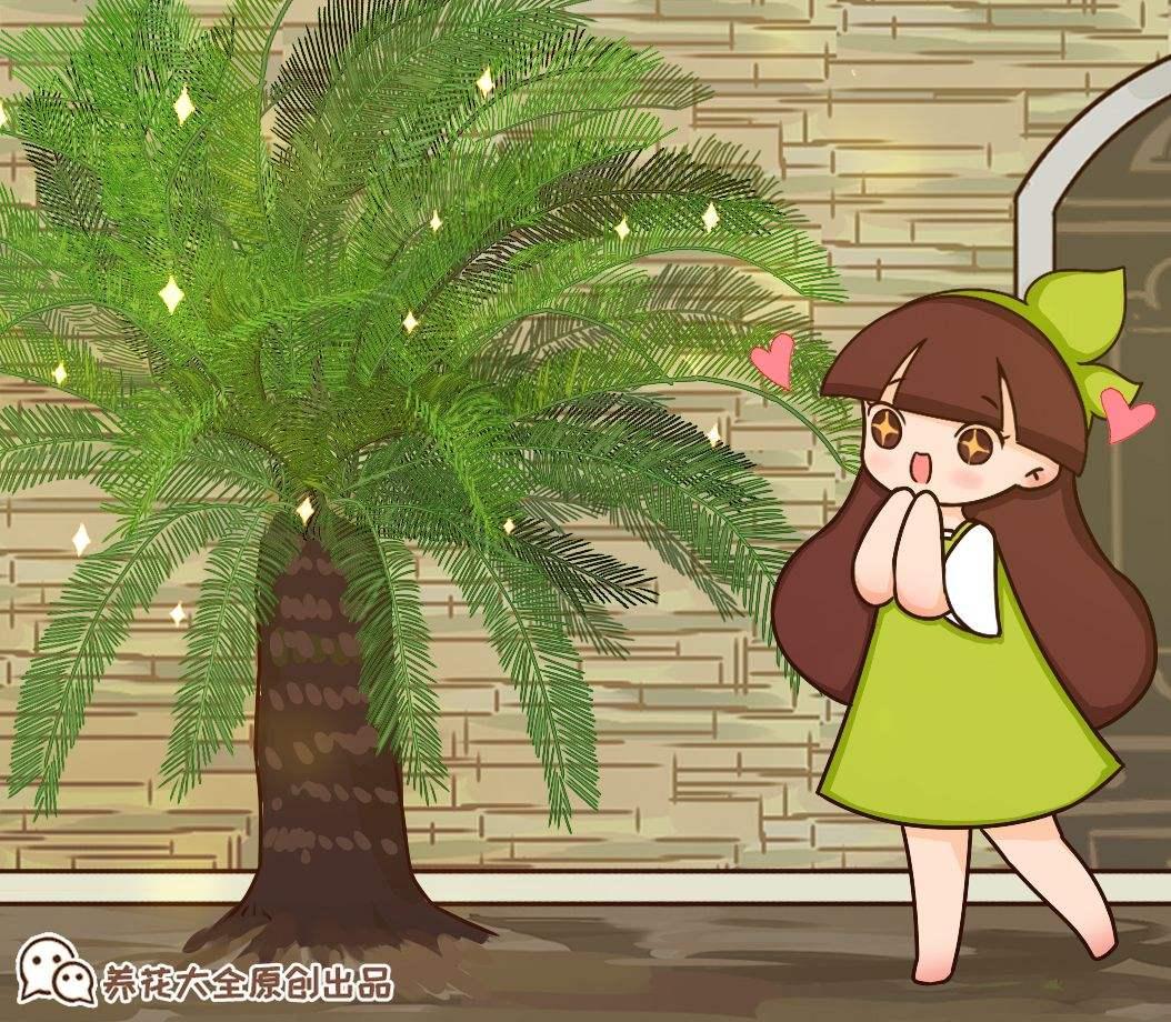 Is the iron tree blooming just an idiom?No, iron trees can really bloom ...