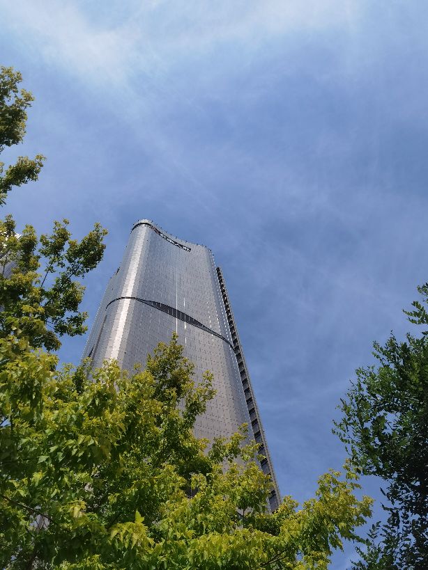 How should Zhongwang Group go from second in the world to unreceived ...