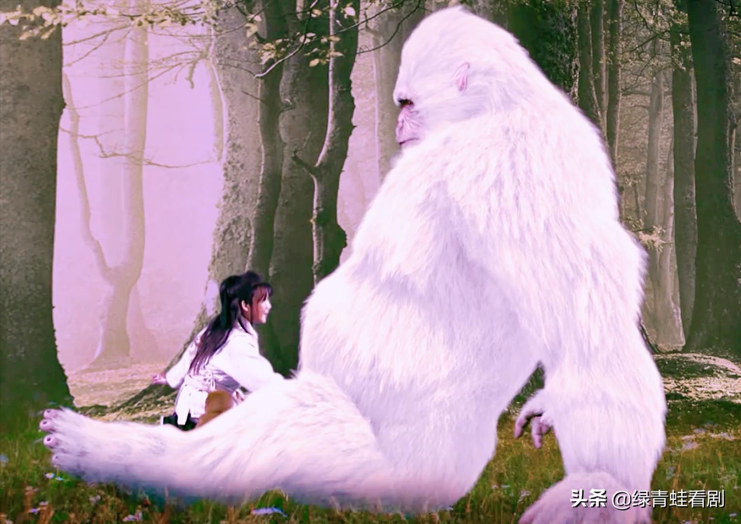 Why is "Nine Suns True Scripture" in the belly of White Ape?Jin Yong ...