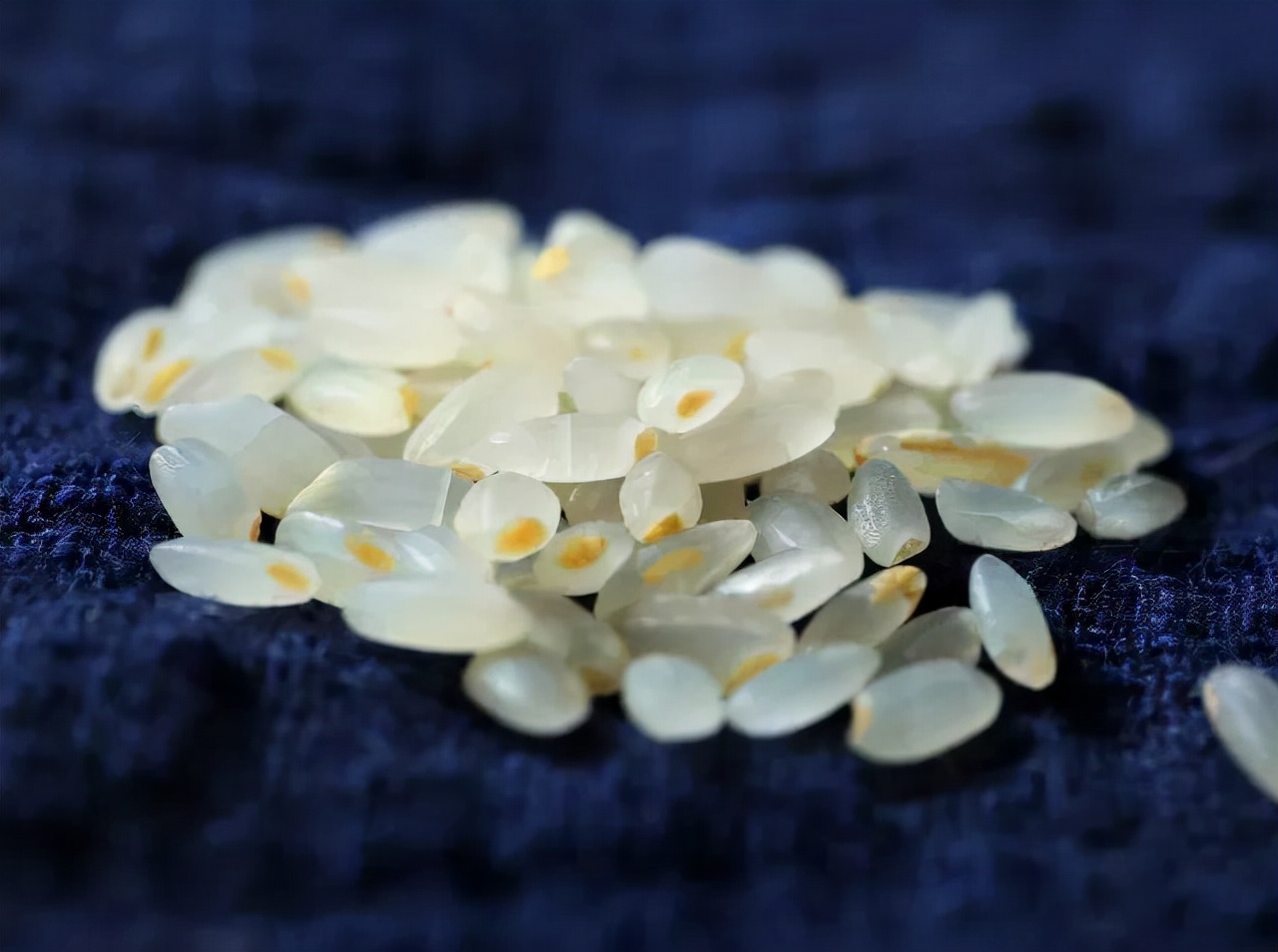 What is germ rice, what nutrients does germ rice contain, and what is ...