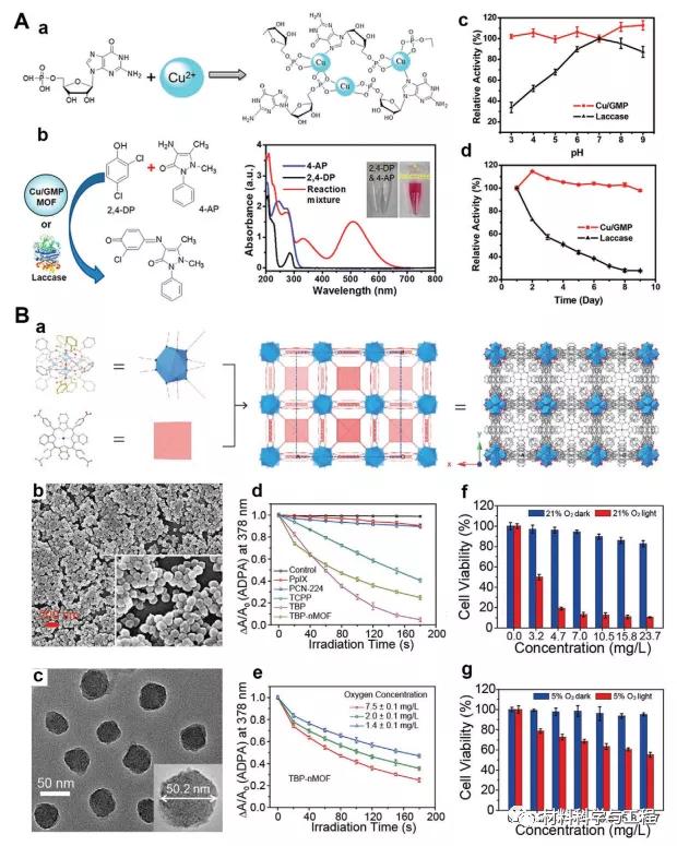 Sichuan University: Metal Organic Framework (MOF) engineered enzyme ...