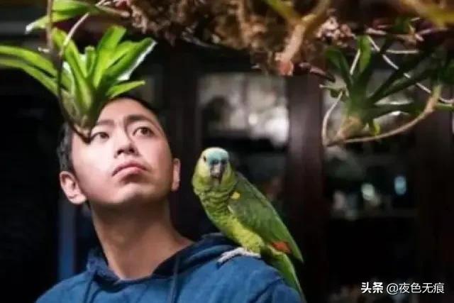 "The most powerful brain" Wang Yuheng: The real power is to realize all ...