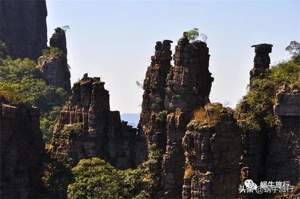 In Guangxi~Forest Adventure!Climbing to the top of the mountain, high ...