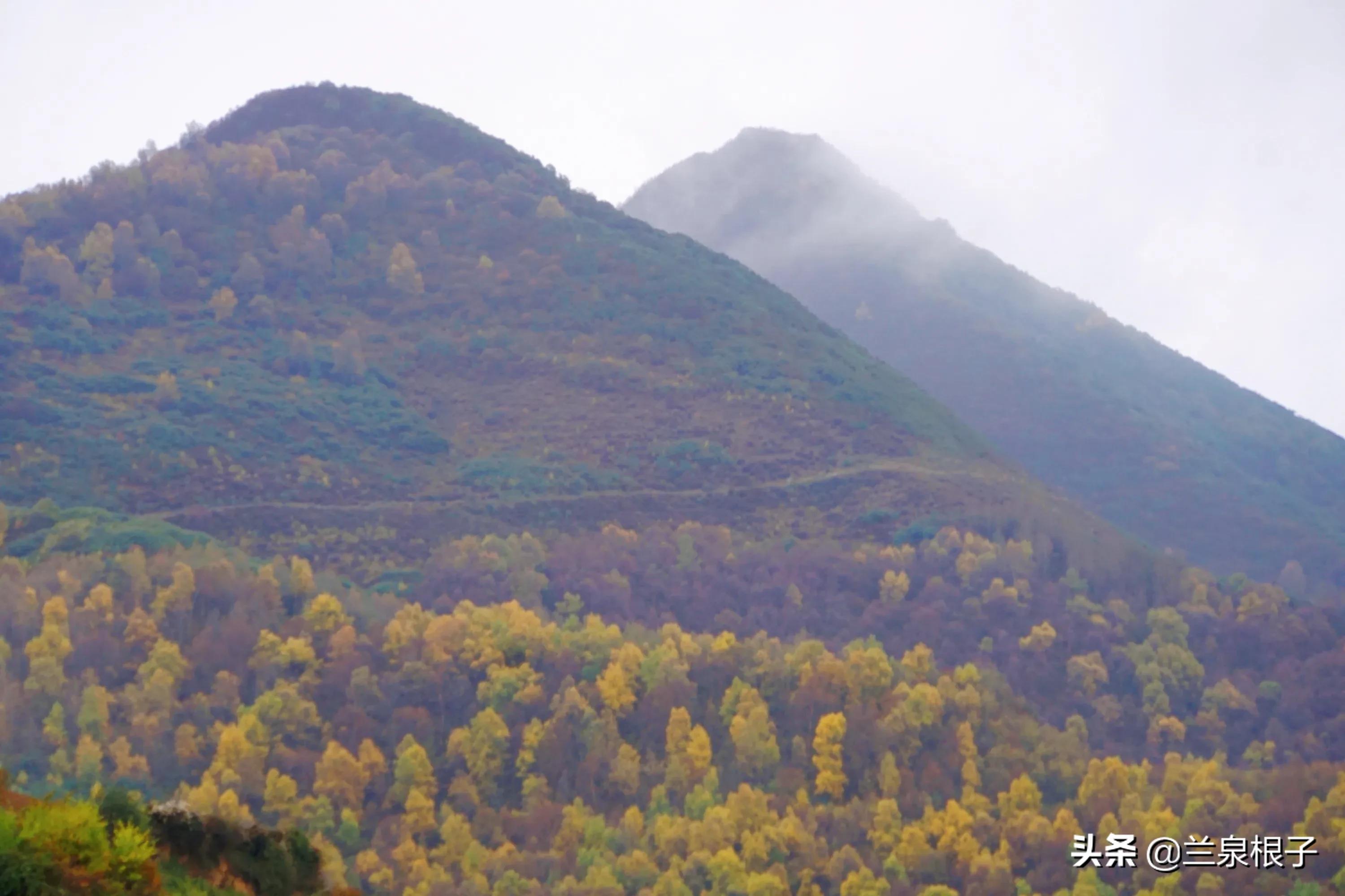 In the golden autumn season, the original ecological scenery deep in ...