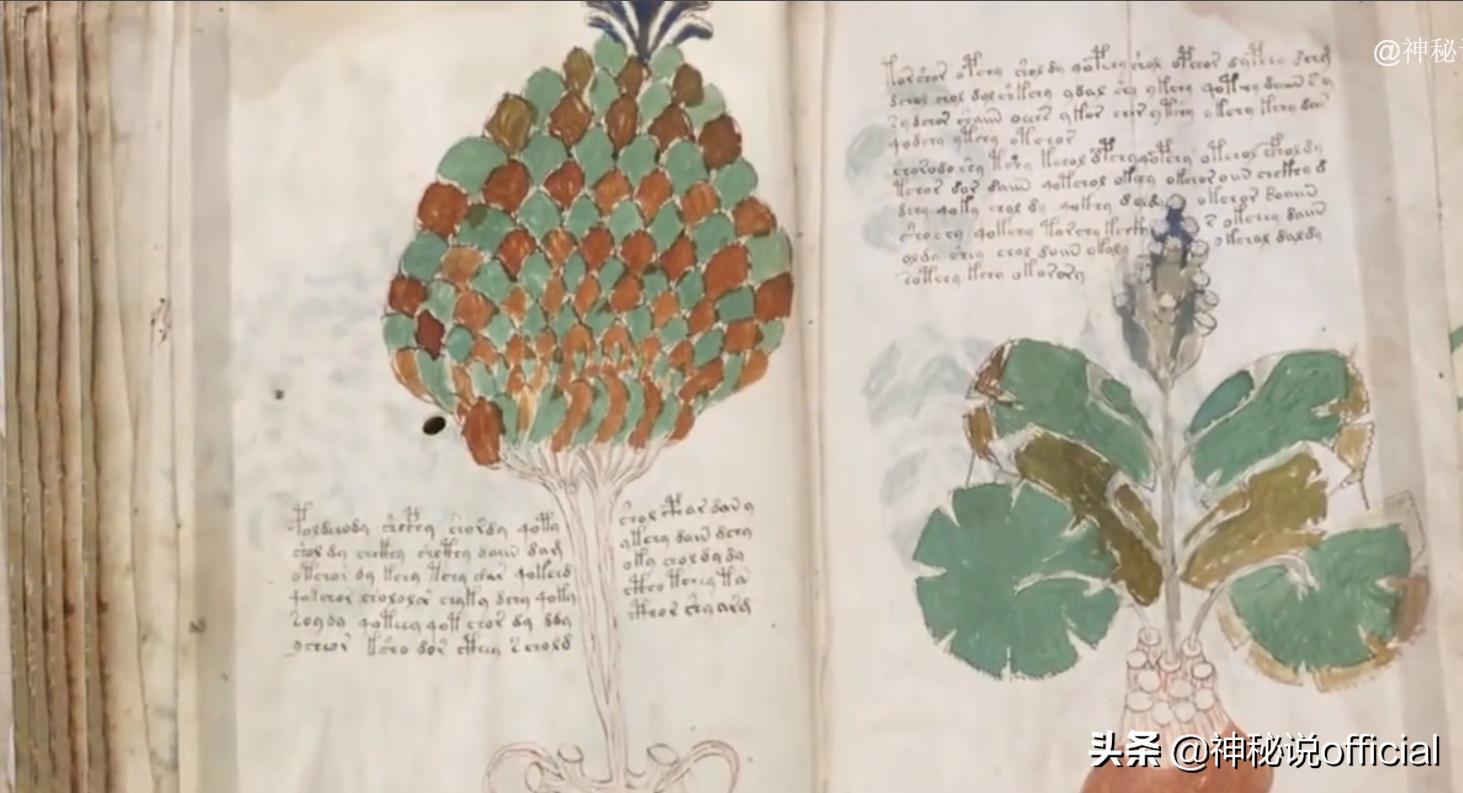 The mysterious ancient books 600 years ago were filled with fairy ...