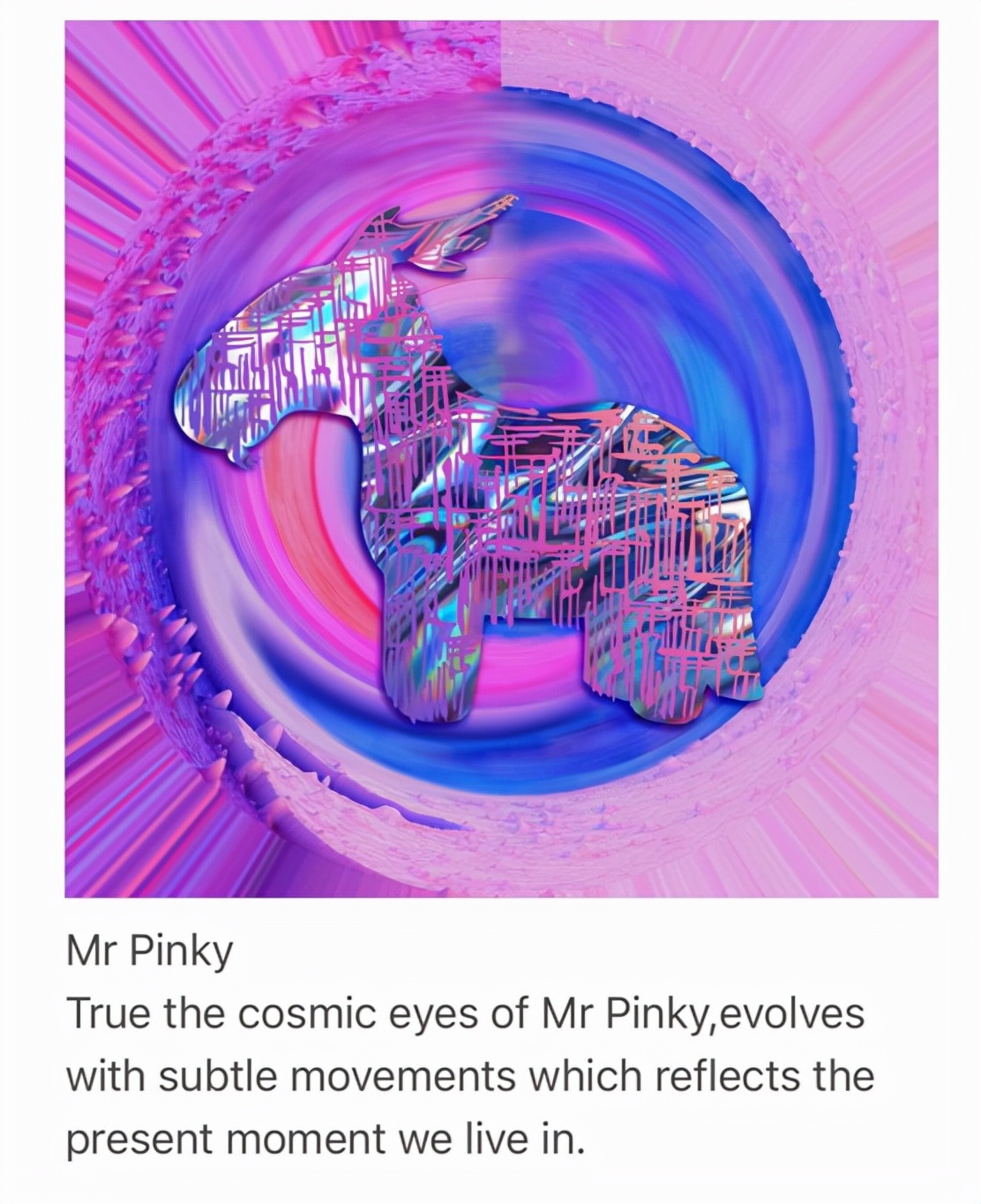 The awakening of digital identity, artist Simon Ma's digital collection ...