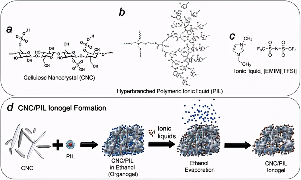Highly conductive ionic gel with long-lasting shape, derived from ionic ...