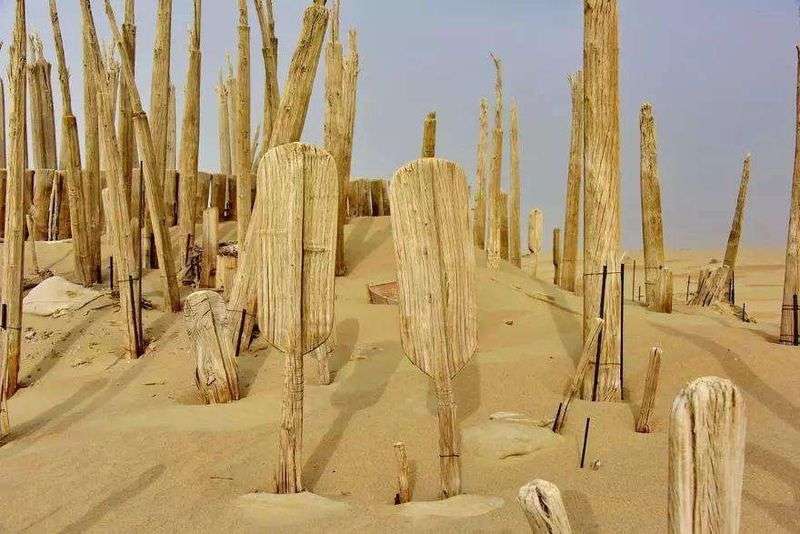 The beauty of the ancient corpse Xiaohe Princess of Lop Nur, after 3800 ...