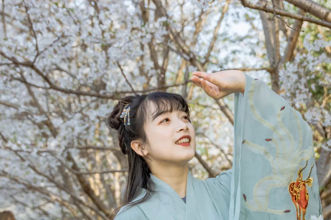 Come to Jinhua to a cherry blossom: When Hanfu meets cherry blossom, it ...
