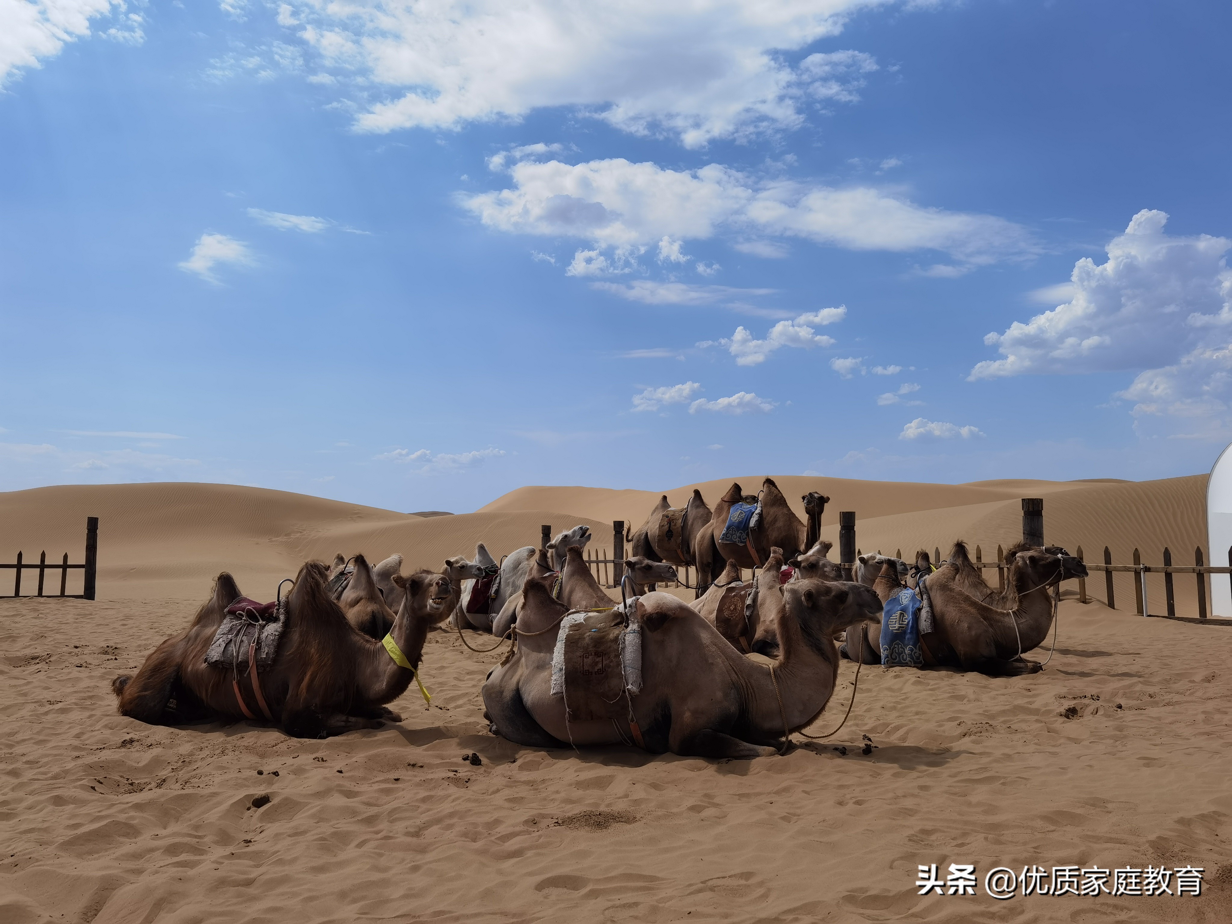 Inner Mongolia Free Tour Day2: Xiangsha Bay, a desert tourist resort ...