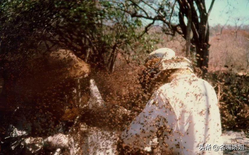 Chasing people thousands of meters away is harmful to humans and ...