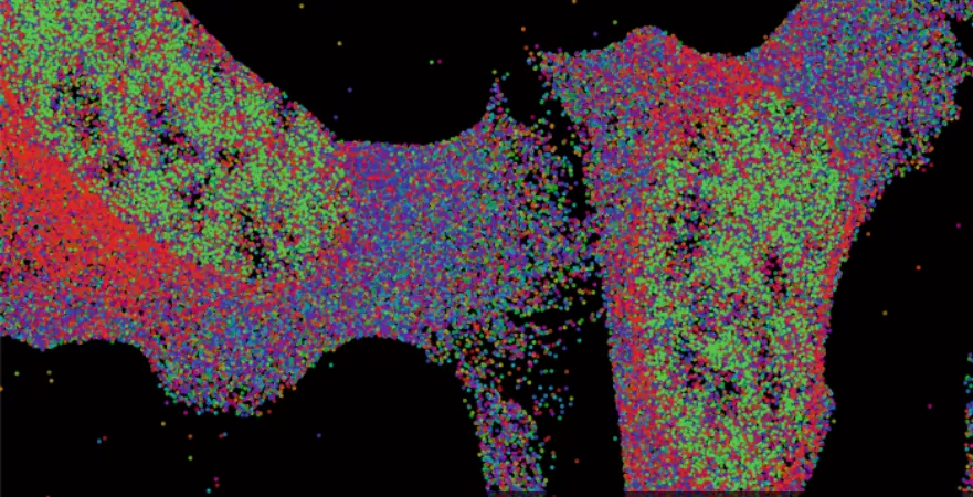 Visualizing the future: spatial transcriptomics will change the way ...
