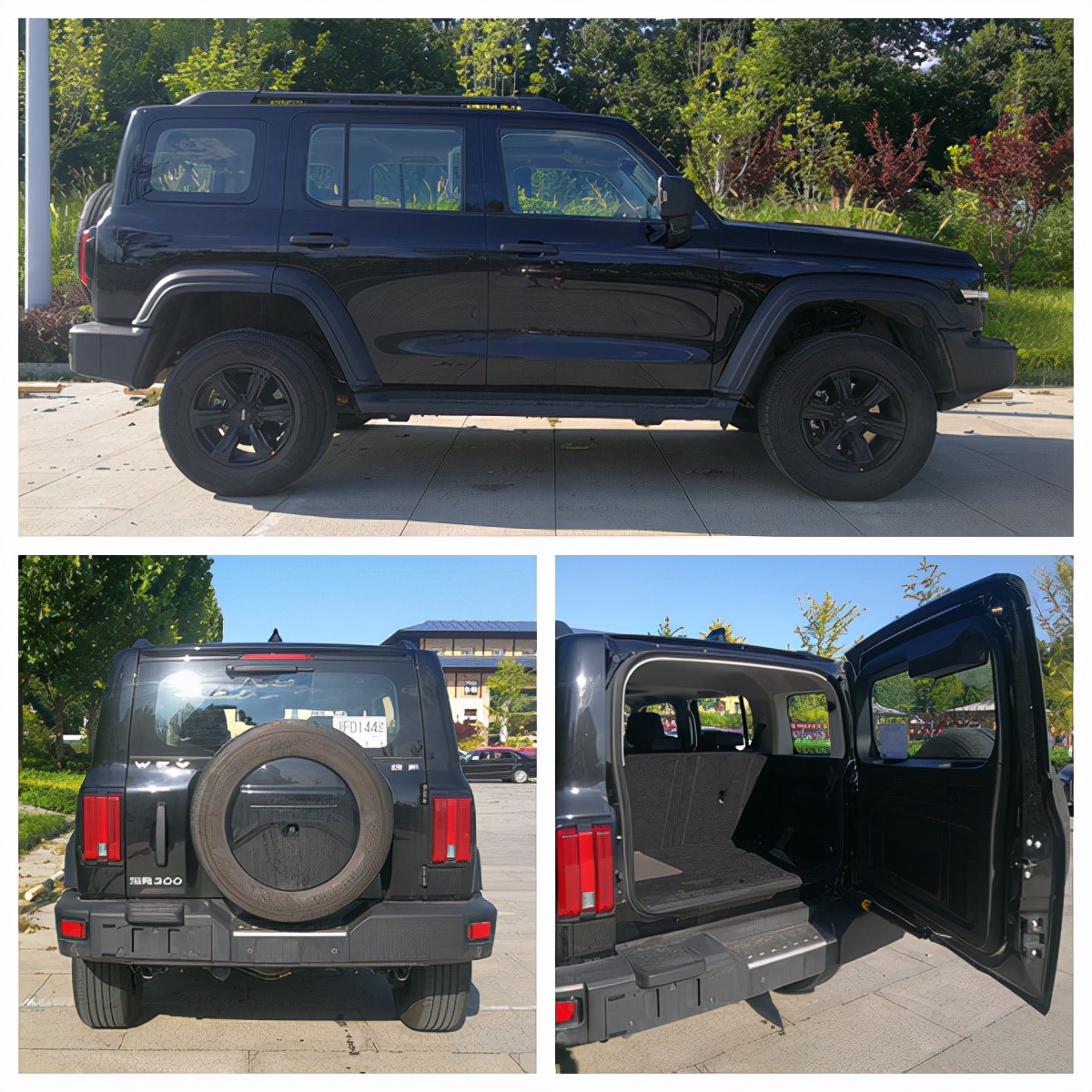 The Tank 300 has been popular since the off-road version. What's the ...