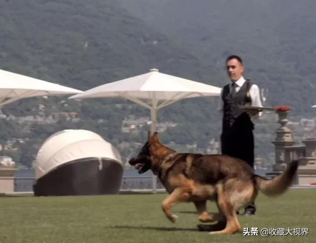 The world-famous "Gunther family" has 28 years of development, with ...