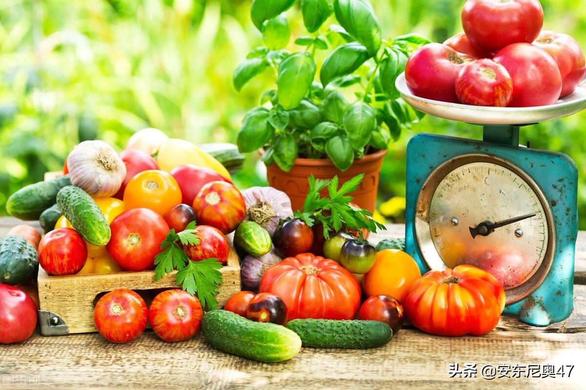 Explore the mystery of Giant Vegetable Valley in the United States - iNEWS