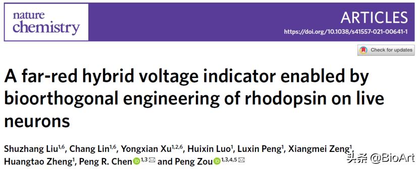 Zou Peng/Chen Peng cooperated in the development of membrane potential ...
