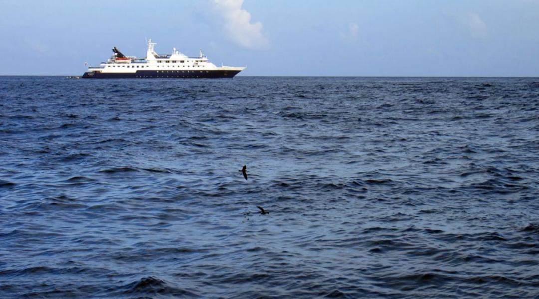 650 million tons, if human overfishing of krill, what impact will it ...