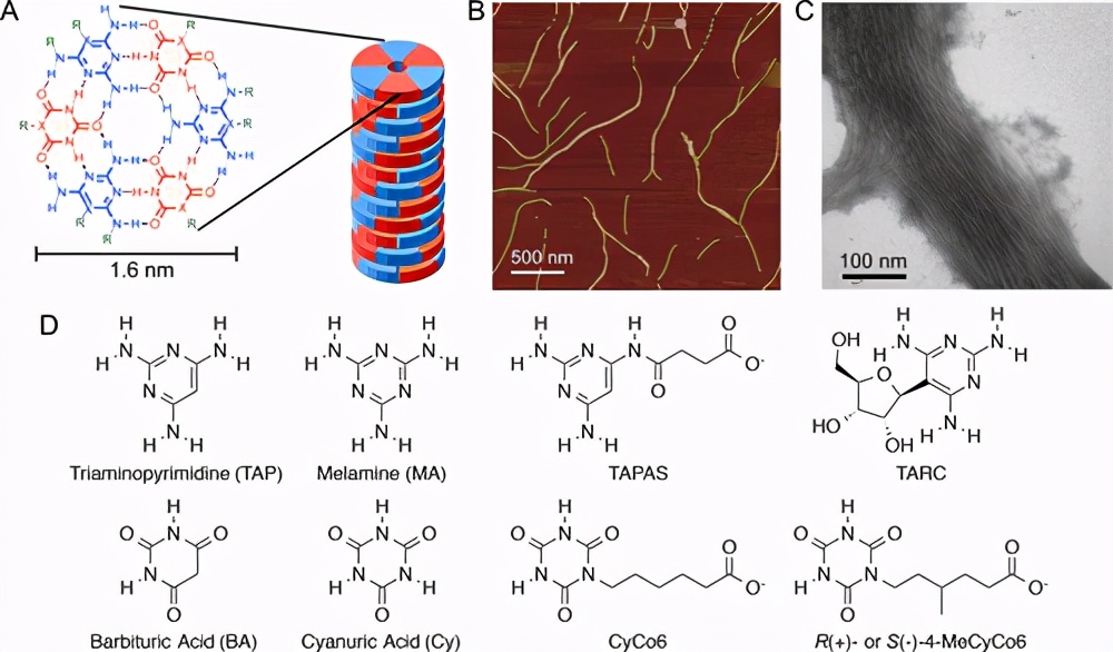 "JACS" Paired and stacked water-soluble supramolecular polymers with ...