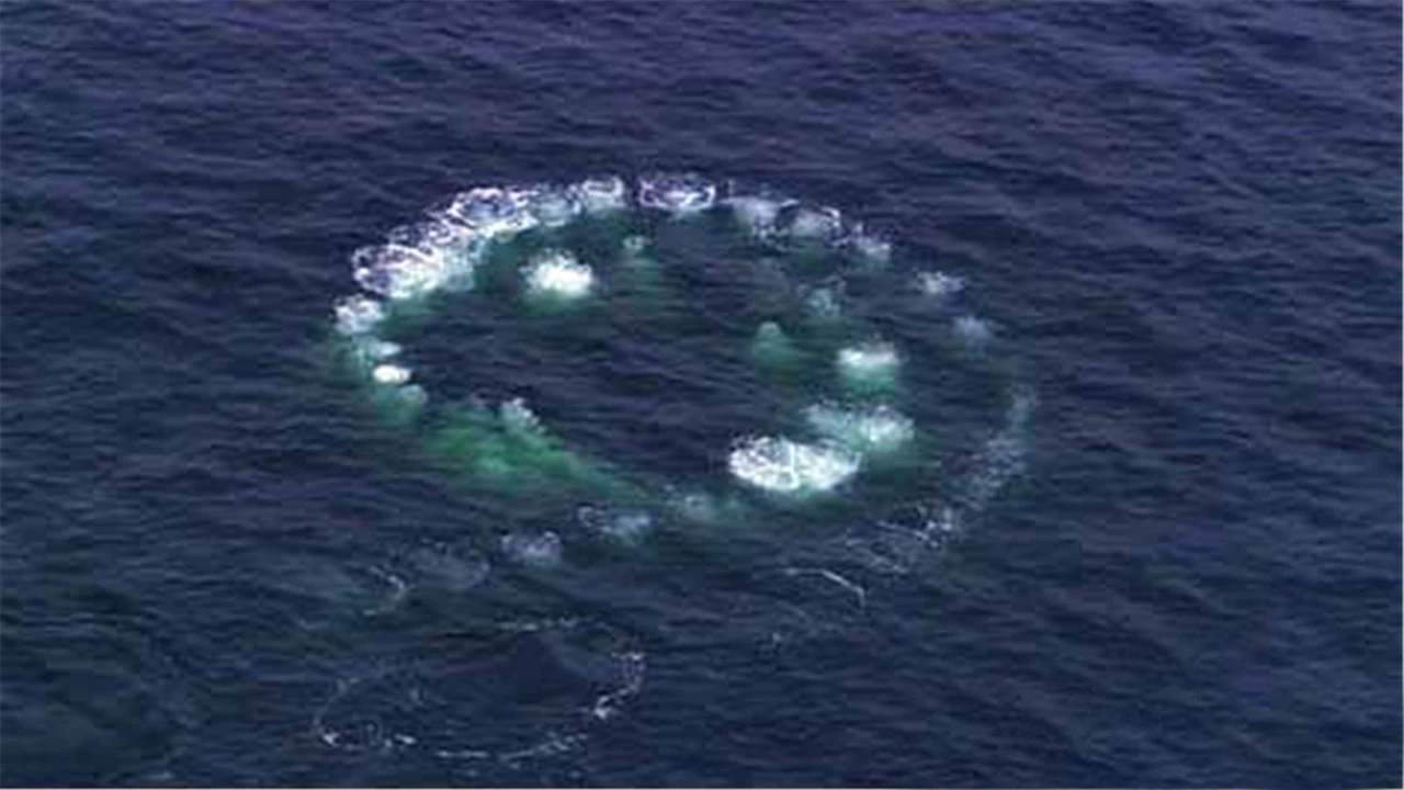 The top secret Soviet document that shocked the world: Is there an ...