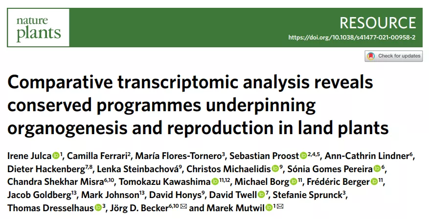 The "genetic code" of terrestrial plant organogenesis and reproduction ...