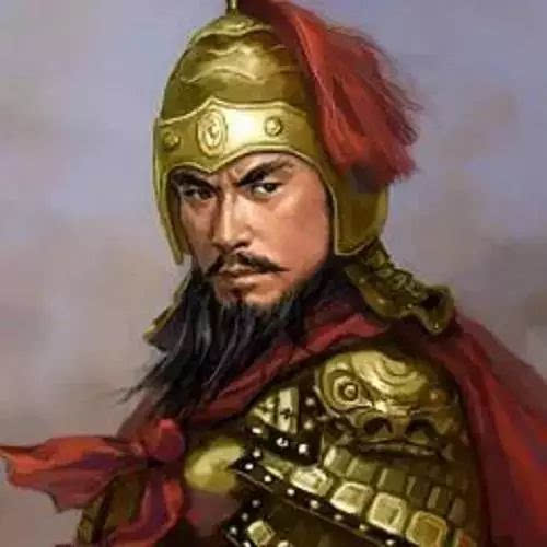 The hero Yang Zaixing once fell into the grass and killed Yue Fei's ...