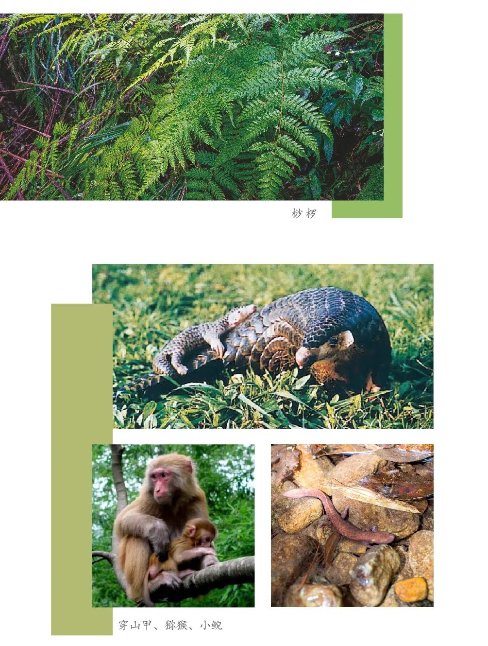 Longyan Geological Park: The years are colorful, and the days are ...