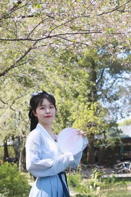 Gao Min: A new breakthrough in "cancer treatment tool" to overcome ...