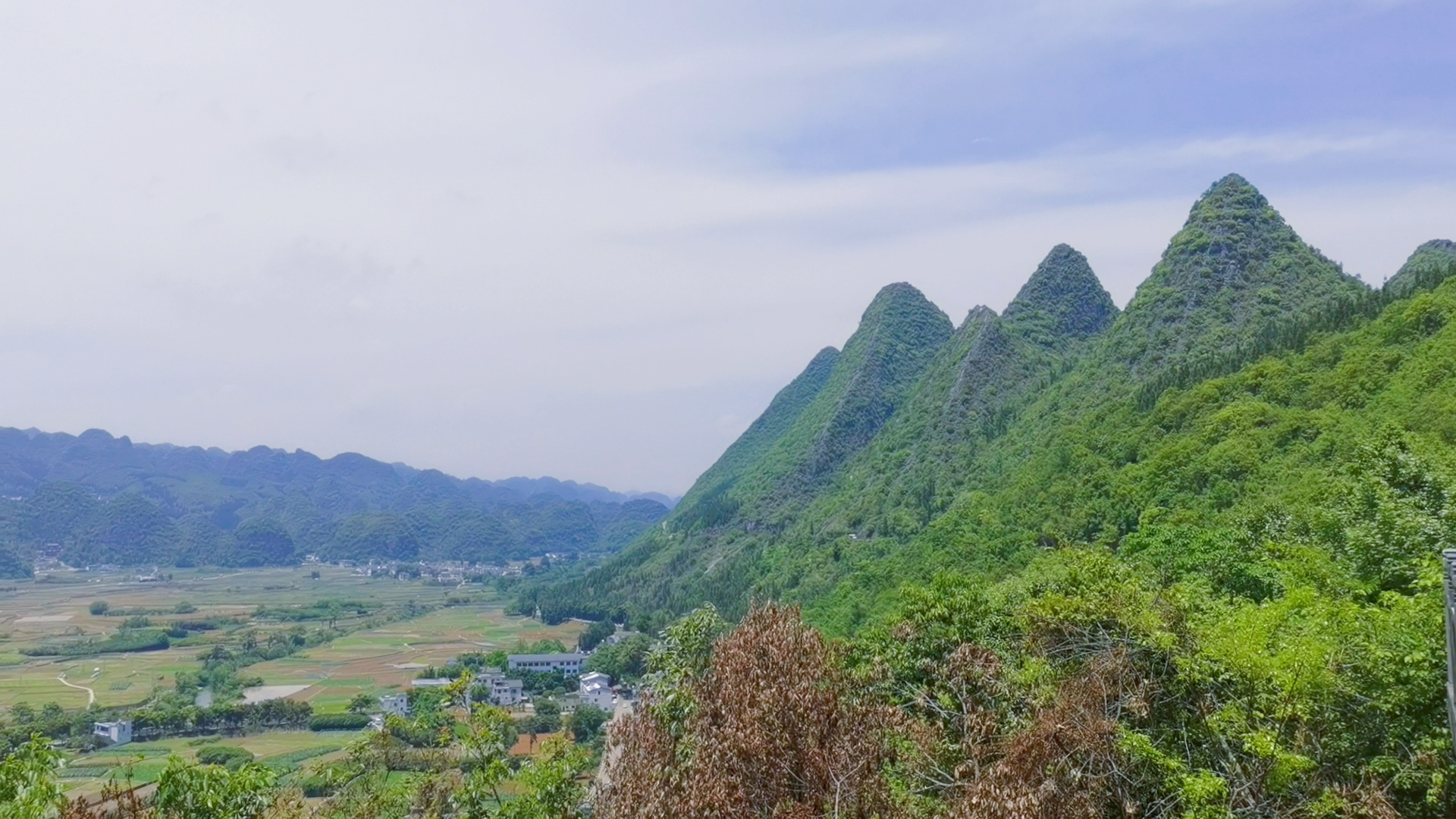 Wan Fenglin had a good hand but failed to play well. This 4A-level ...