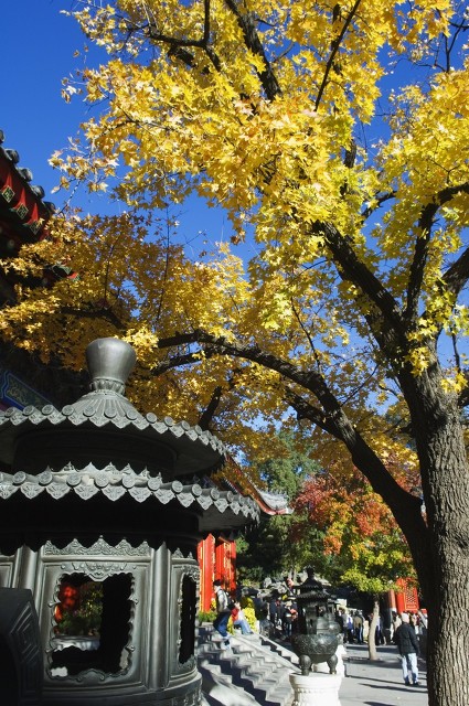 "Drunken Weng Pavilion" "Feng Le Pavilion" "Fu Sheng Fu" Ouyang Xiu - iNEWS