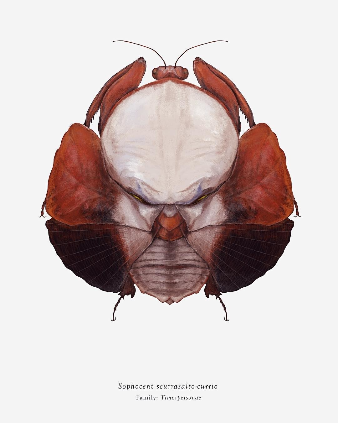 9 kinds of the most evil-looking beetles, exactly corresponding to the ...