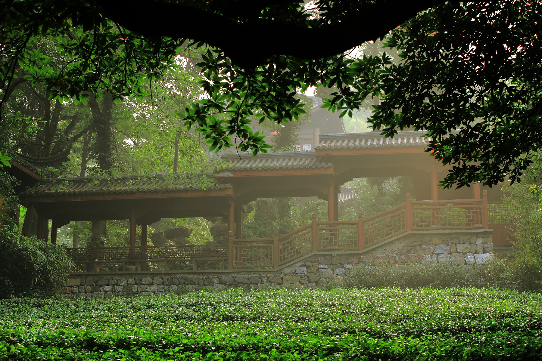 Take a bus tour of Hangzhou: 1314 Road, a lifetime, worth taking once ...