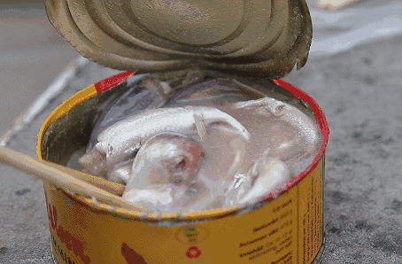 Inuit pickled puffins are "out of the circle", and canned herring ranks ...