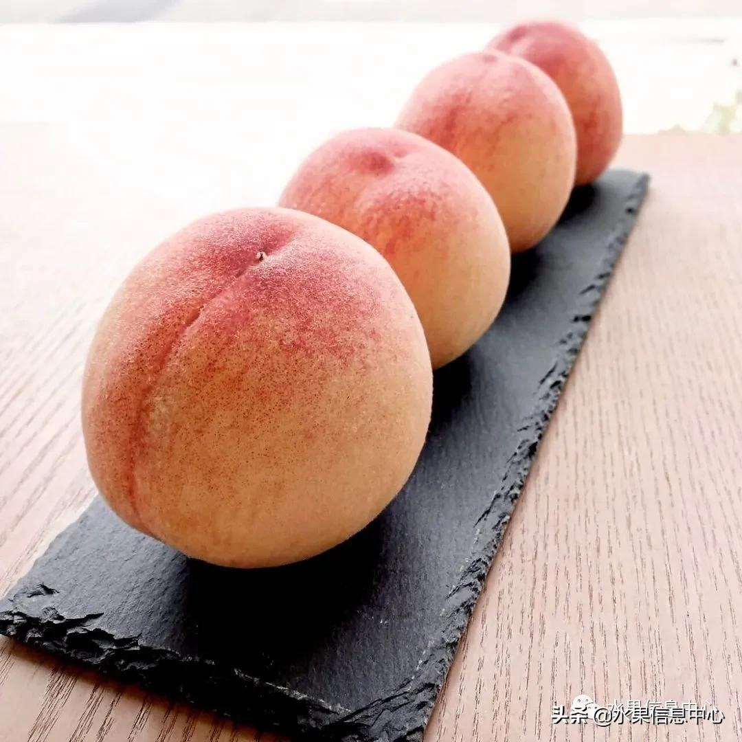 China's common peach origin varieties and time to market - iNEWS