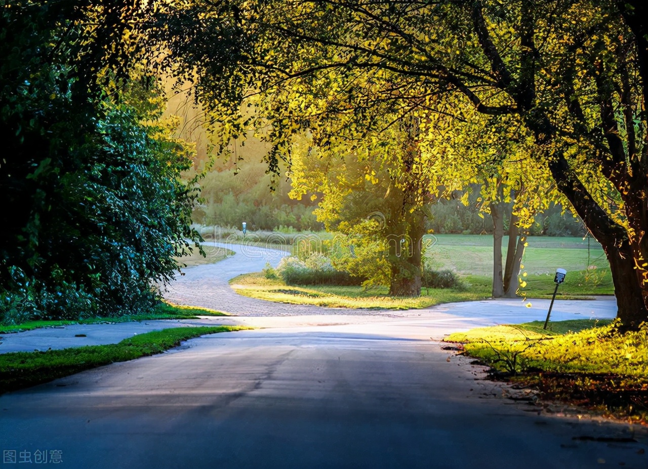 Dreams of the Forbidden City-Complementary Comprehension - iNEWS