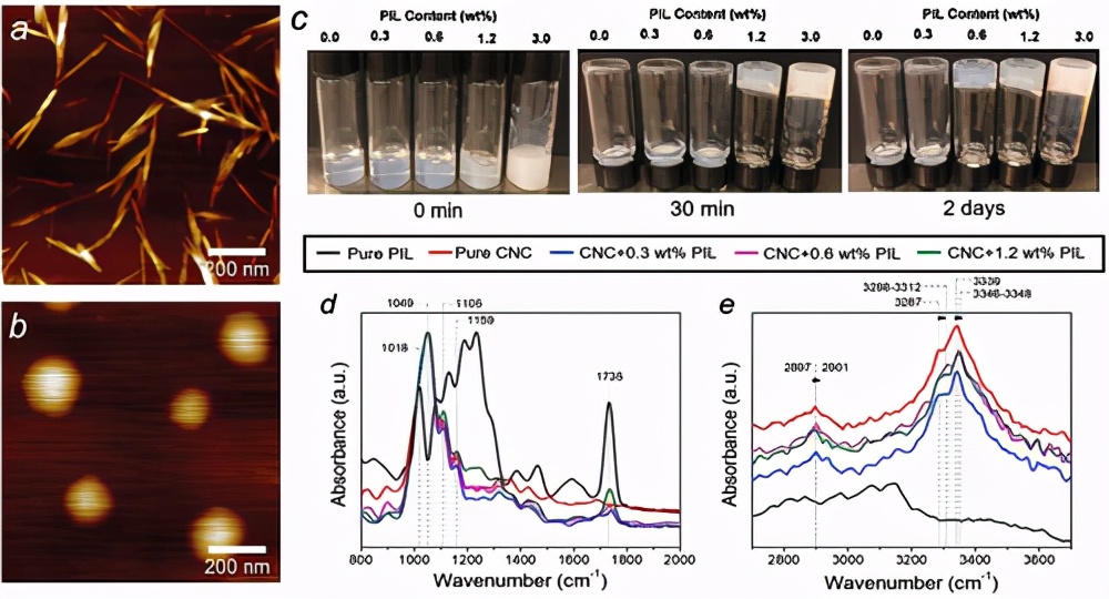 Highly conductive ionic gel with long-lasting shape, derived from ionic ...