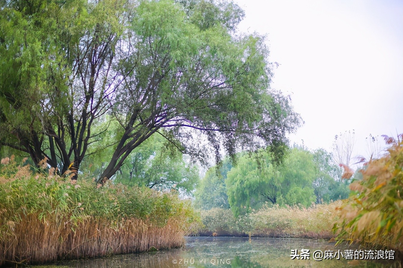 An 800-year-old lake in Yancheng, the first lake in northern Jiangsu ...