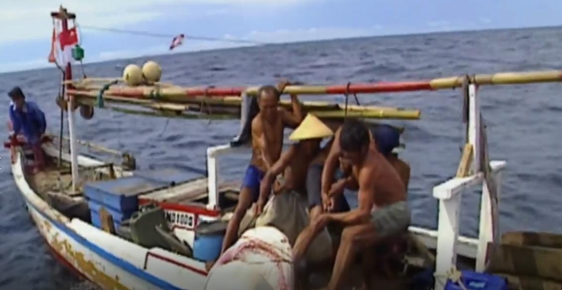 The Indonesian shark catchers have inherited from generations to ...