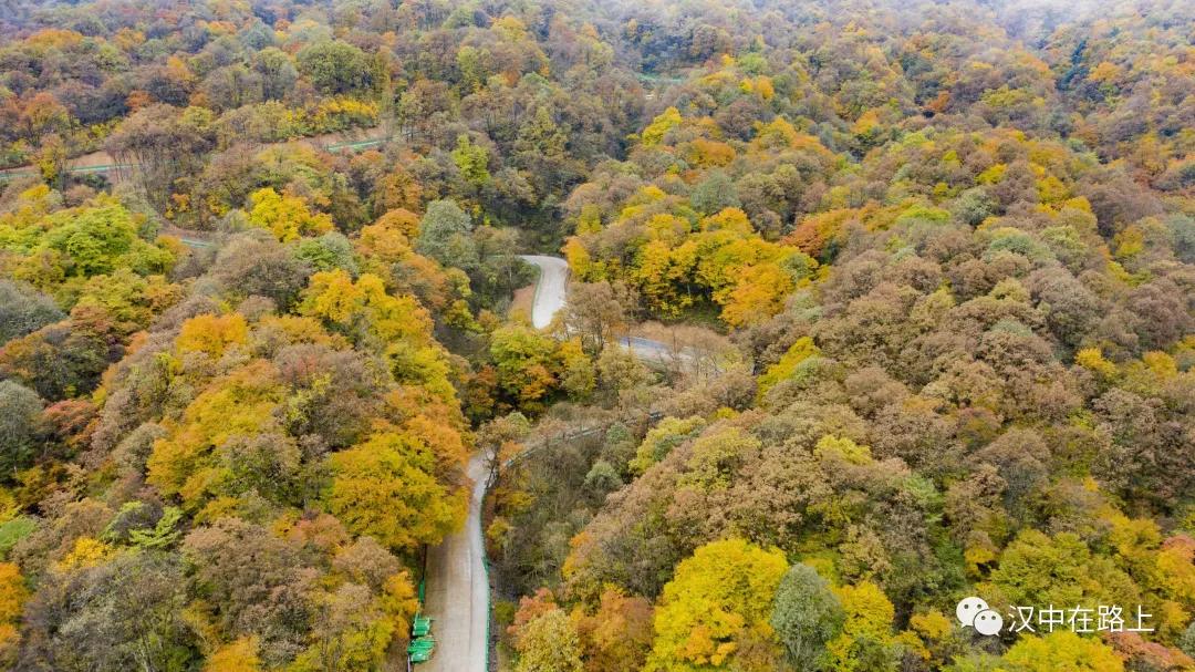 famous!Hanzhong Longtou Mountain "Colorful Forest Viewing Season" will ...
