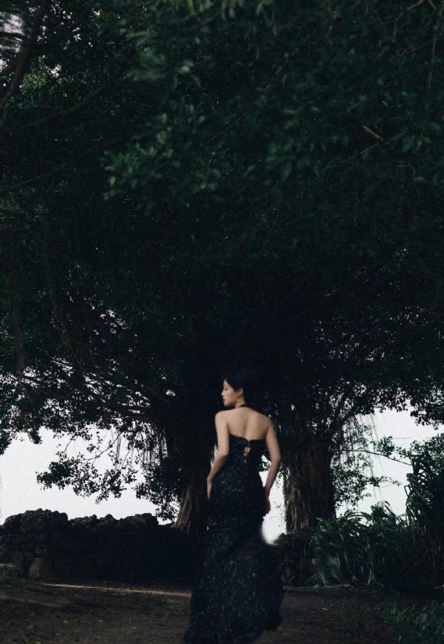 Fan Chengcheng, Lan Yingying's new drama is launched, the two are 10 ...