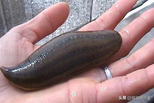 "Witch Gu's Disaster", a cruel man-made disaster within the feudal ...